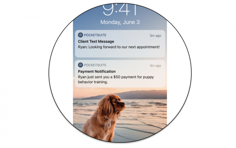 Dog Training Software