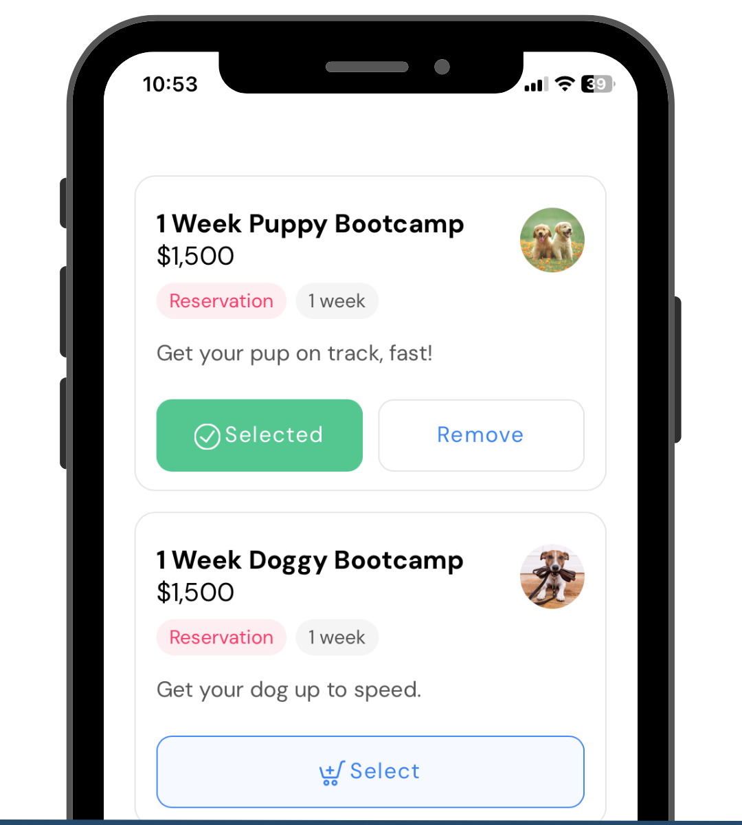 Dog Training Software