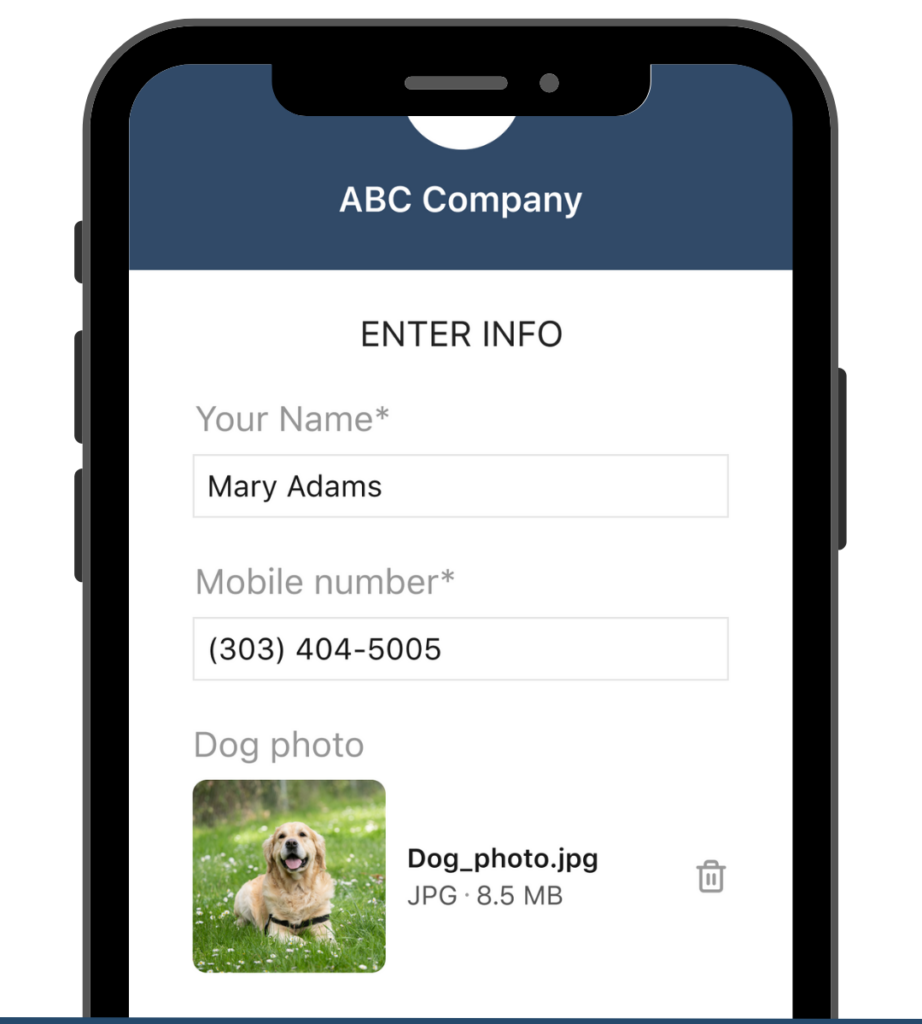 Dog Training Software